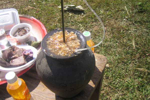 Laos wine: Features, Information, Tips, and Photos