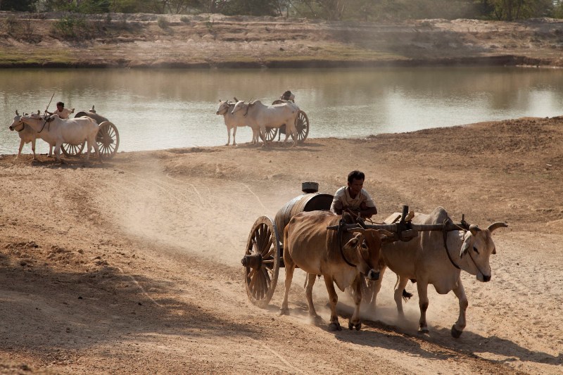 Dry Zone, Myanmar, Southeast Asia: Photos, Best Things to Do, Tours